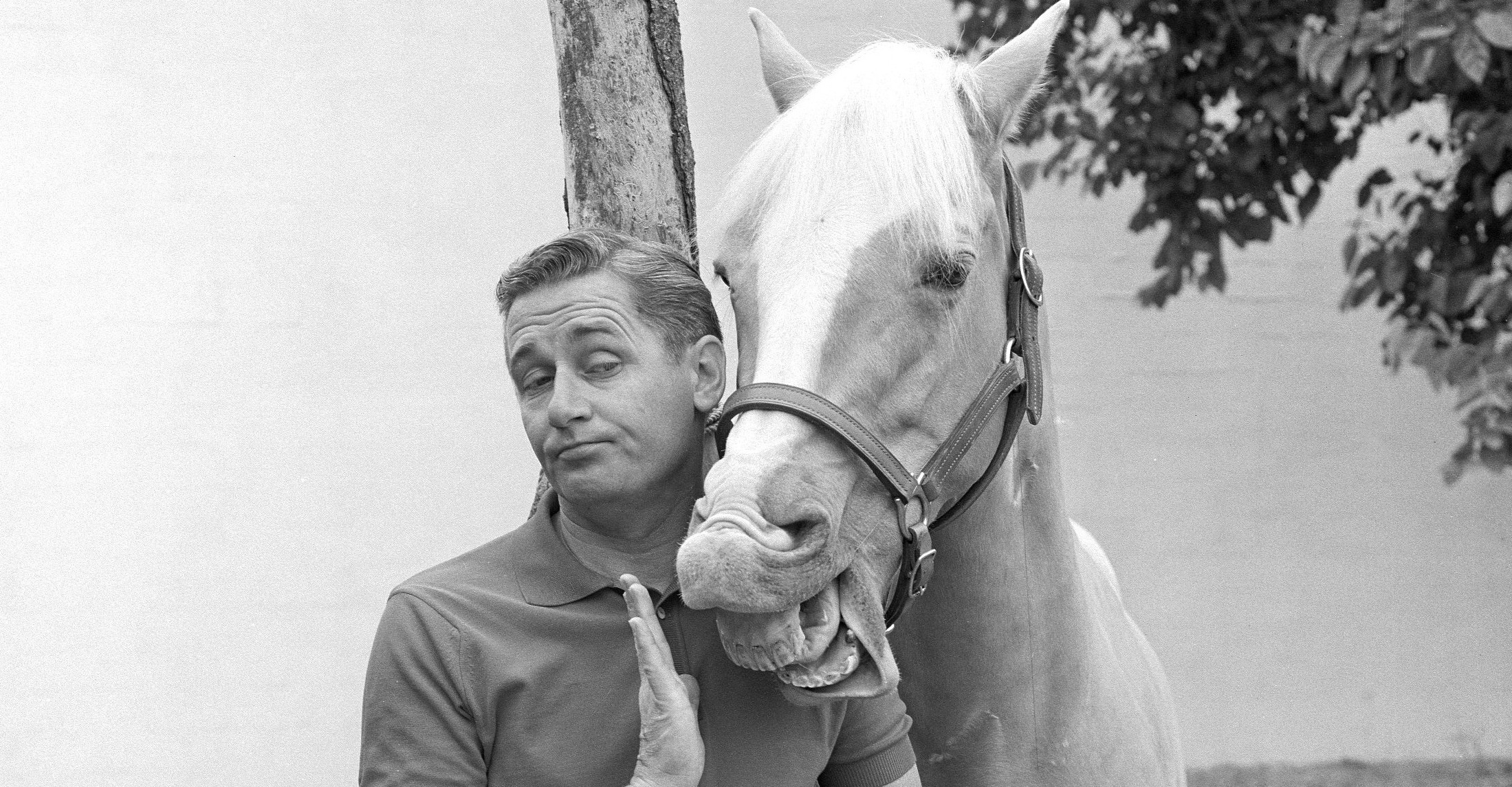Playing TV Bingo With Mister Ed