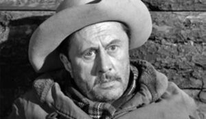 Five Great Allyn Joslyn Guest Appearances