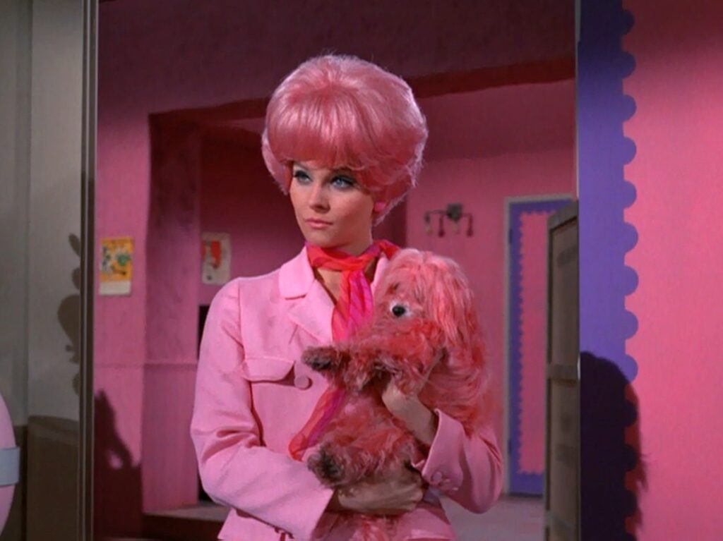 Five Great Diane McBain Guest Appearances