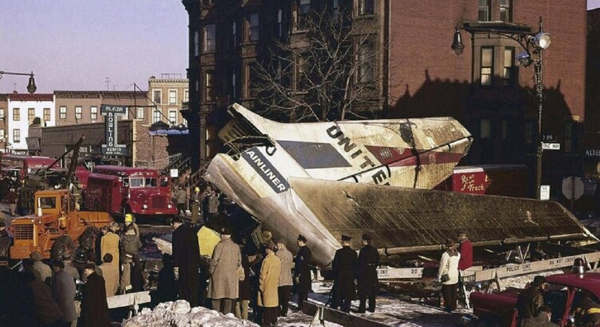 The True Origins of 'If You Were a Tree, What Kind of Tree Would You Be?'