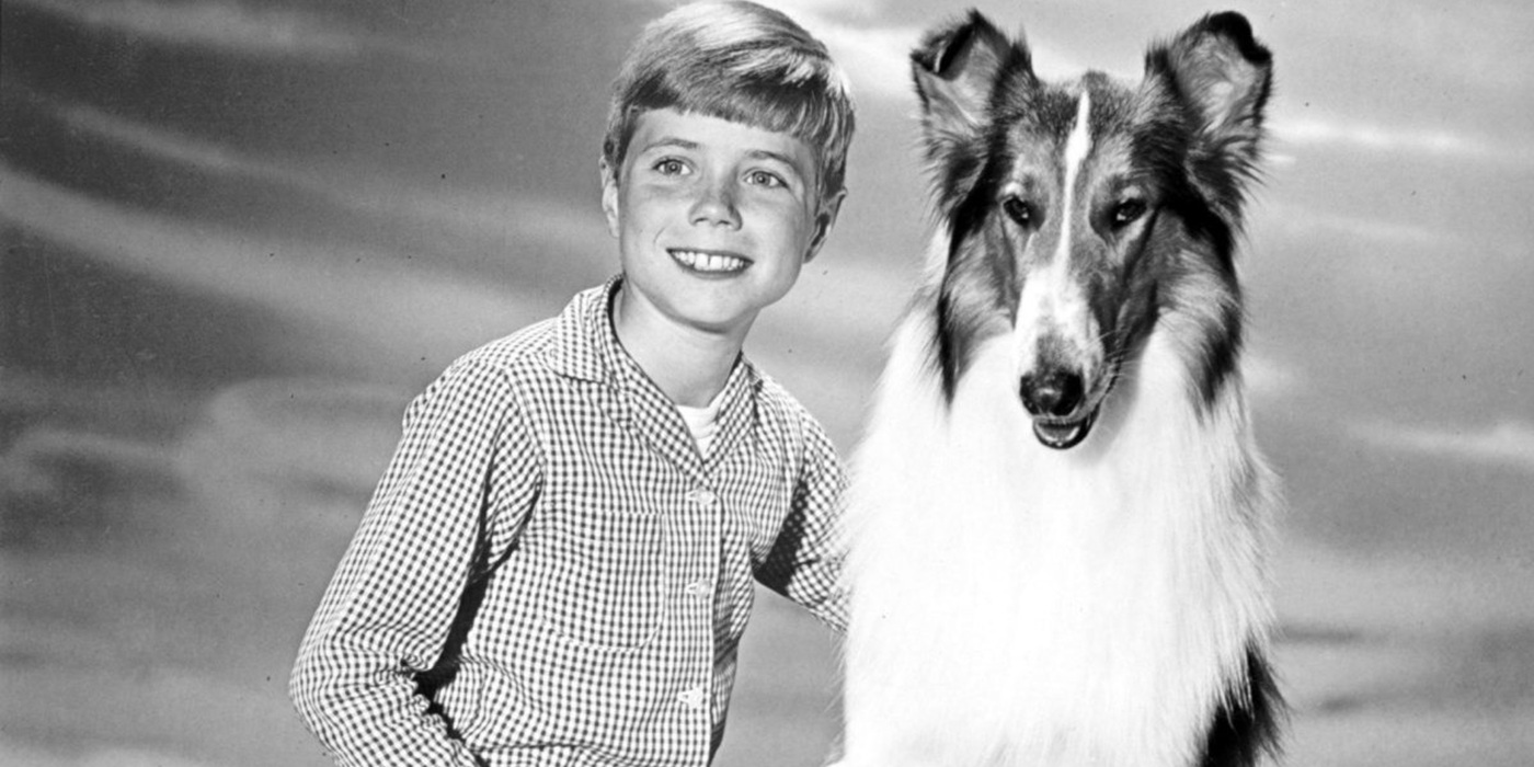 Did Timmy Never Actually Fall Down a Well on Lassie?